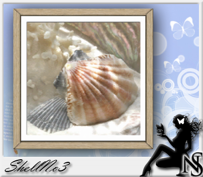The Sims Resource - Nea-ShellNo3