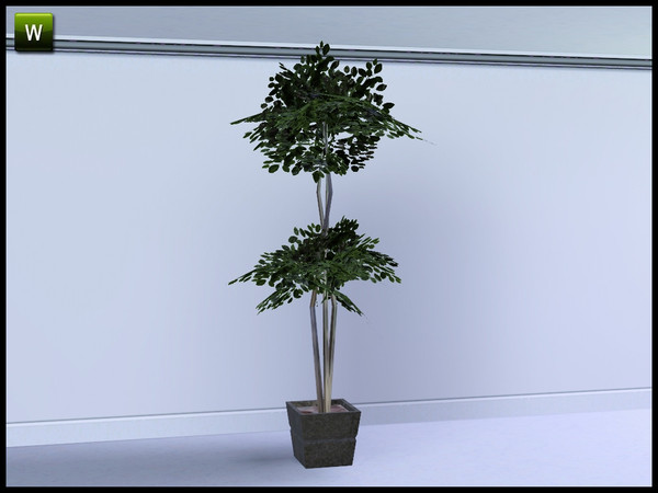 The Sims Resource | Emerson Ficus Tree