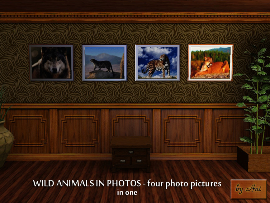 The Sims Resource - Wild animals in photos, 4 in one by Ani's Creations