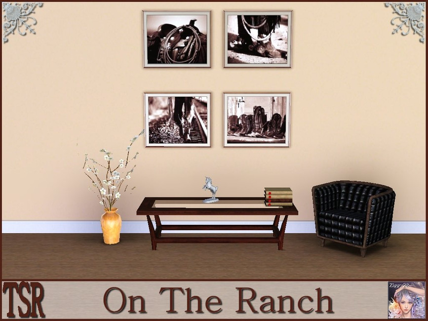 ziggy28's On The Ranch