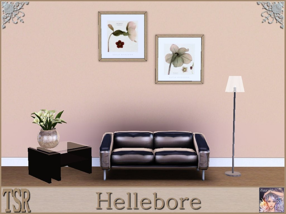 The Sims Resource | Hellebore