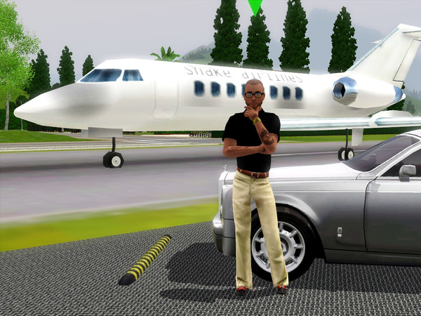 The Sims Resource | Screenshot - my private jet