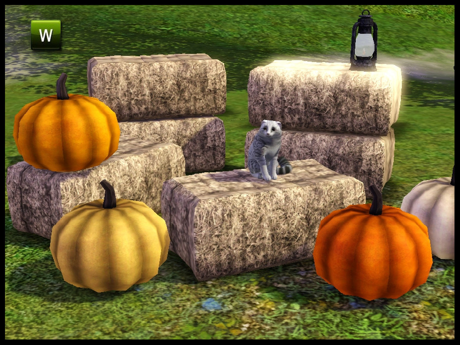The Sims Resource | Pumpkin