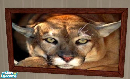The Sims Resource | Lion Painting