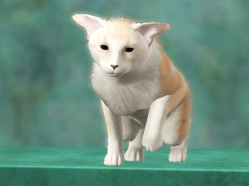 The Sims Resource - Fennec Fox Cat