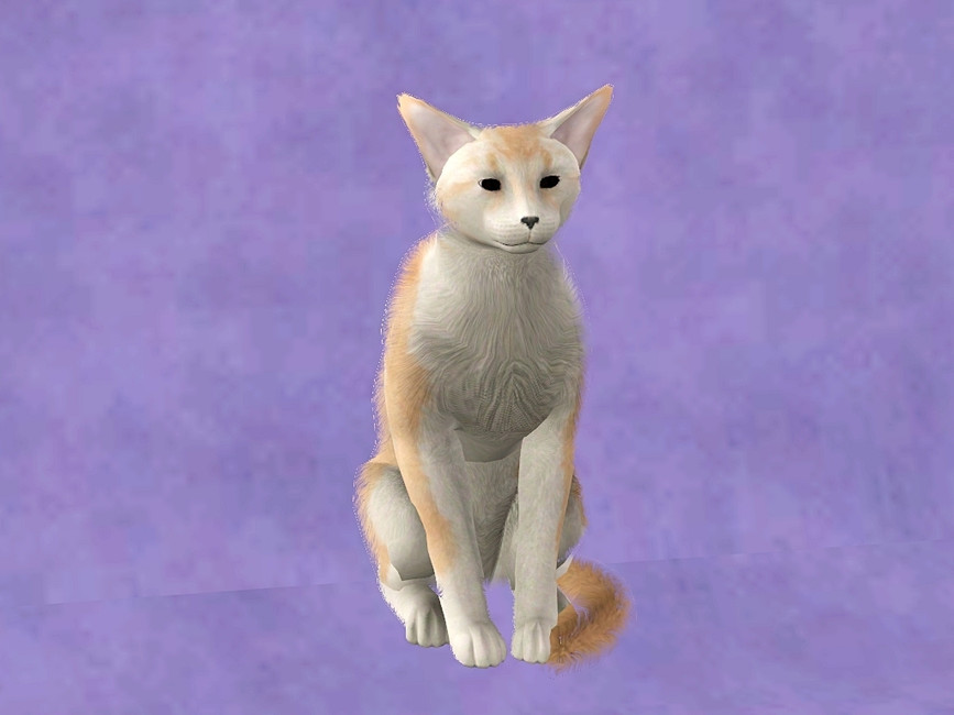 The Sims Resource - Fennec Fox Cat