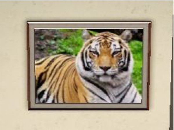 The Sims Resource - Tiger Close Up