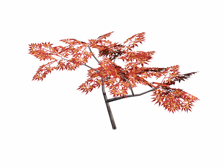 The Sims Resource - Japanese Maple Tree