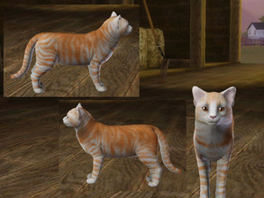 The Sims Resource - Pets