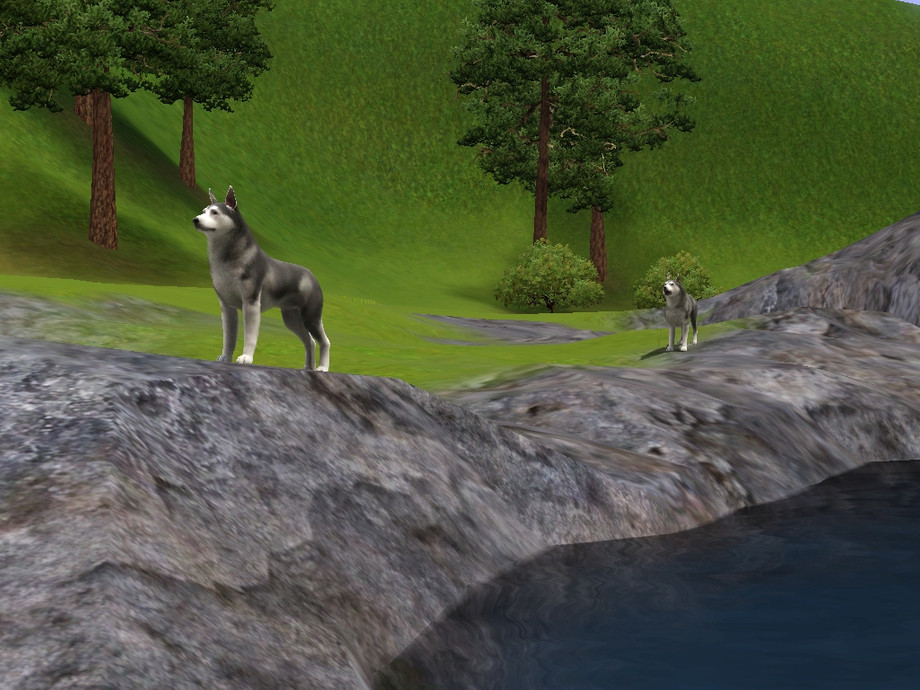 The Sims Resource | Wolf (Male)