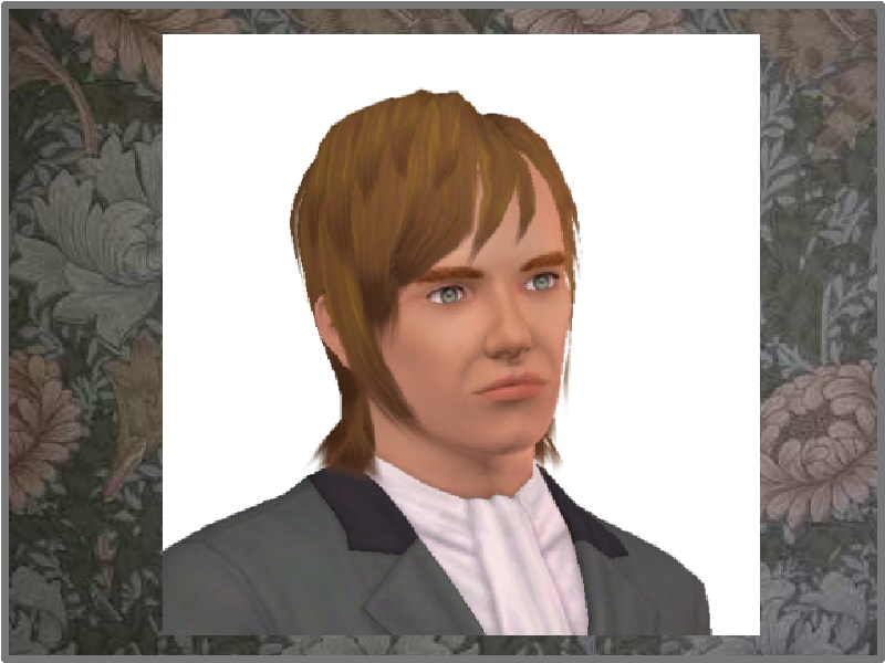 The Sims Resource | Mr. Darcy