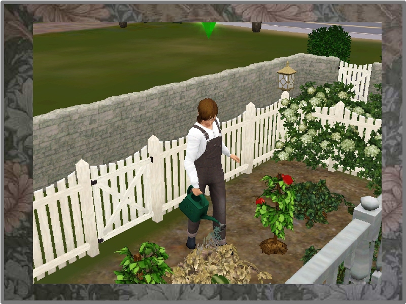 The Sims Resource | Mr. Darcy