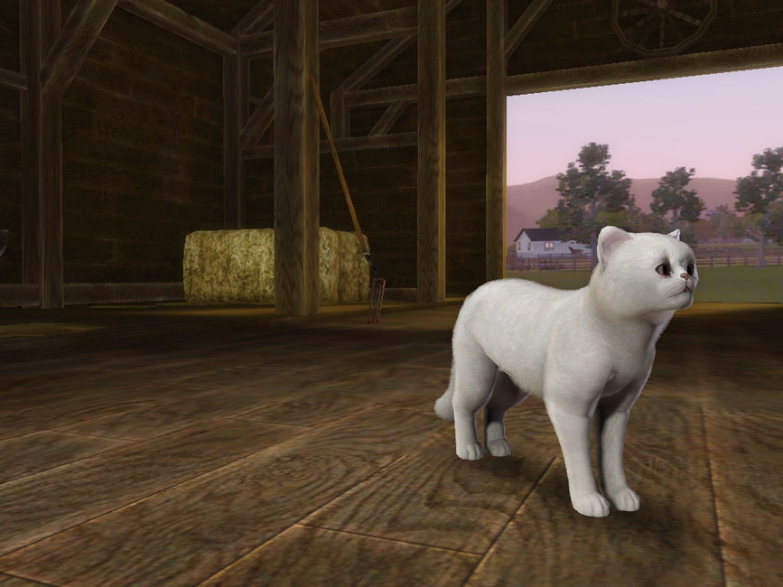 The Sims Resource - Lia The Cat