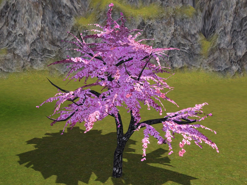 The Sims Resource - Cherry Tree