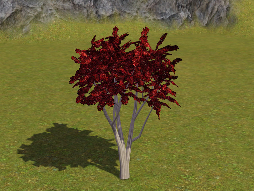 The Sims Resource - Japanese Maple Tree