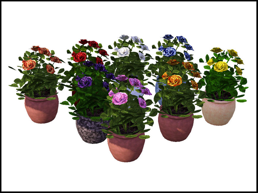 The Sims Resource - Potted Rose Bush