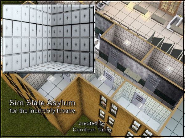 Cerulean Talon's The Sim State Insane Asylum