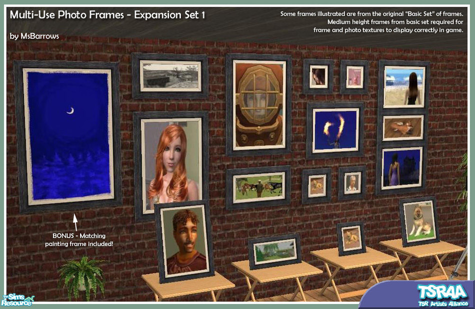 The Sims Resource - Multi-Use Photo Frames - Expansion Set 1
