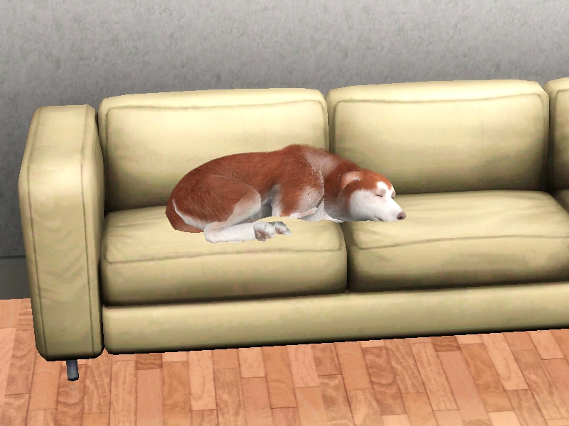 The Sims Resource | Suki - Siberian Husky / Auburn
