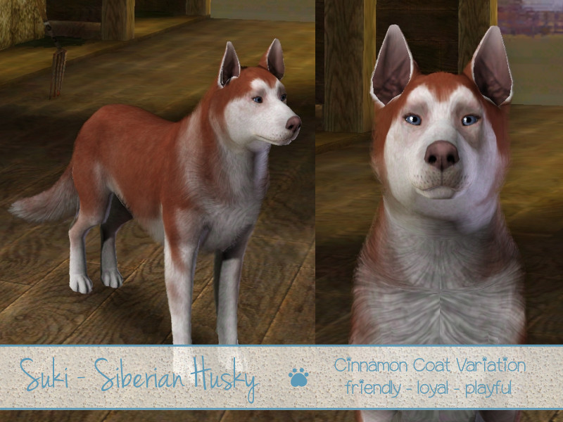 Sims 3 Husky