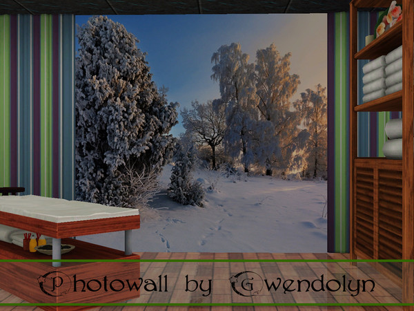The Sims Resource | GW_photowall_Snowy winter_007