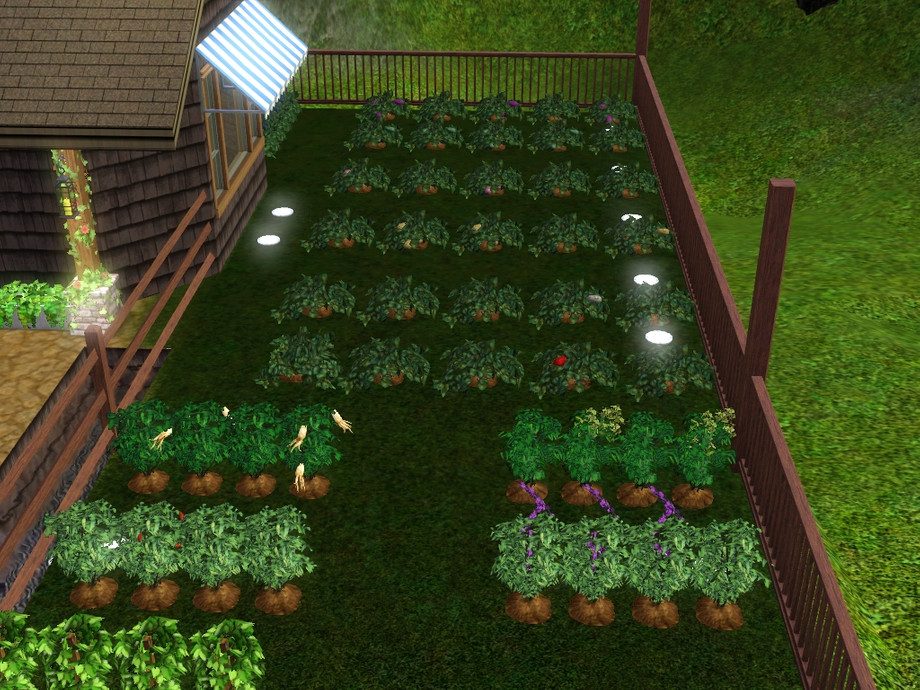 The Sims Resource | Nectar shop