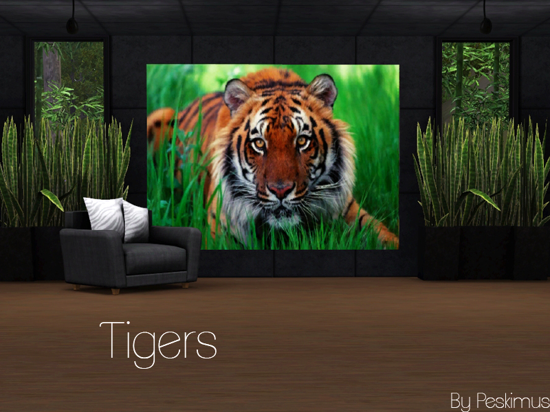 The Sims Resource | Tiger v5