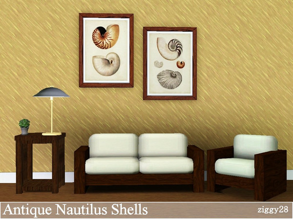The Sims Resource | Antique Nautilus Shells
