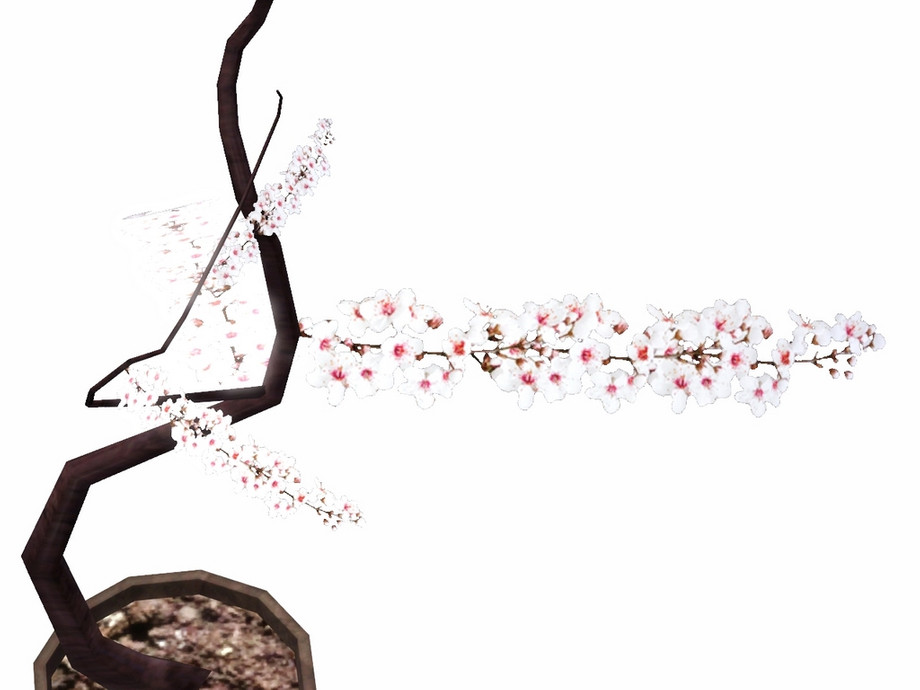 The Sims Resource - Brown Cherry Tree Peach