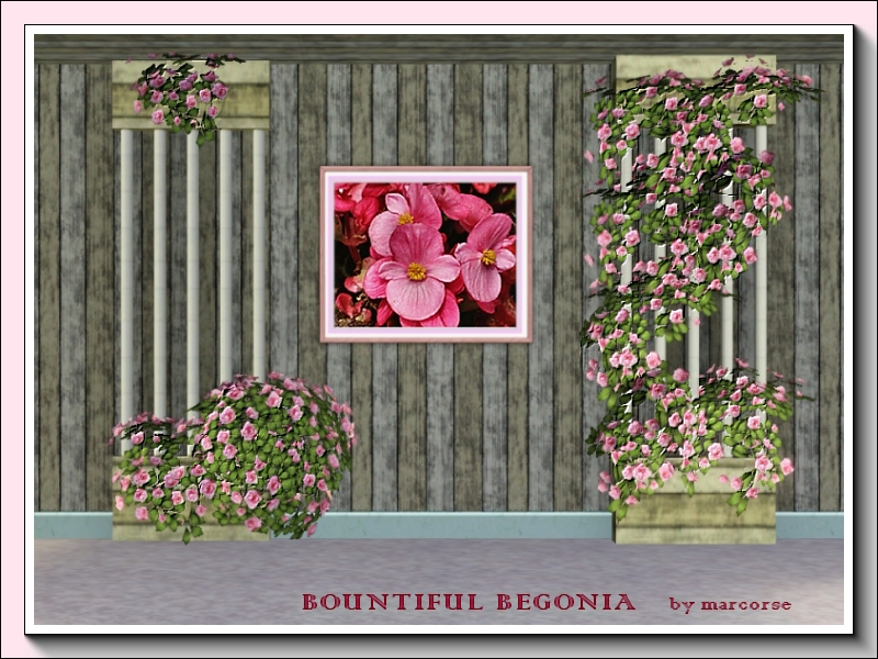 The Sims Resource | Bountiful Begonia_marcorse