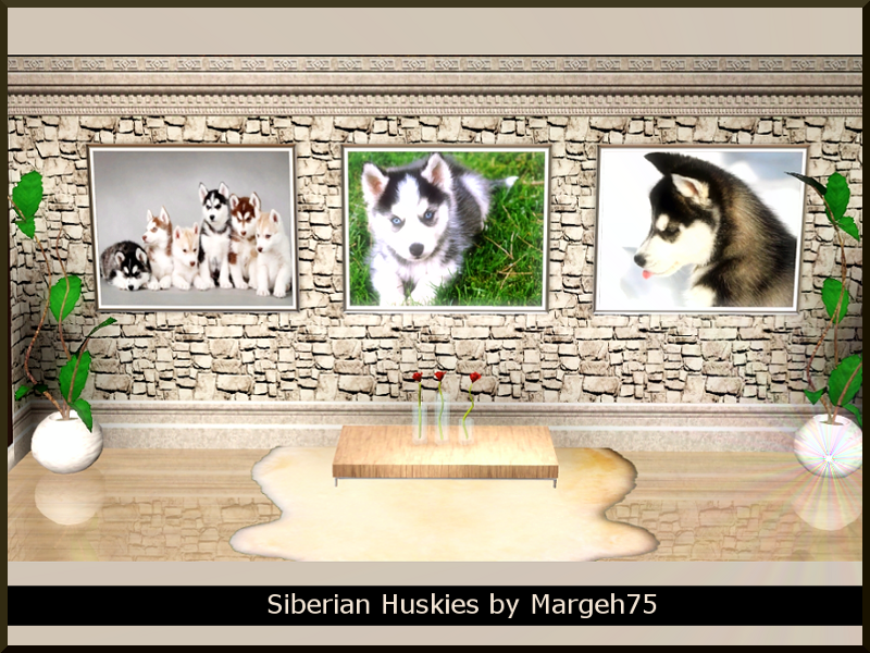 The Sims Resource | Siberian Huskies