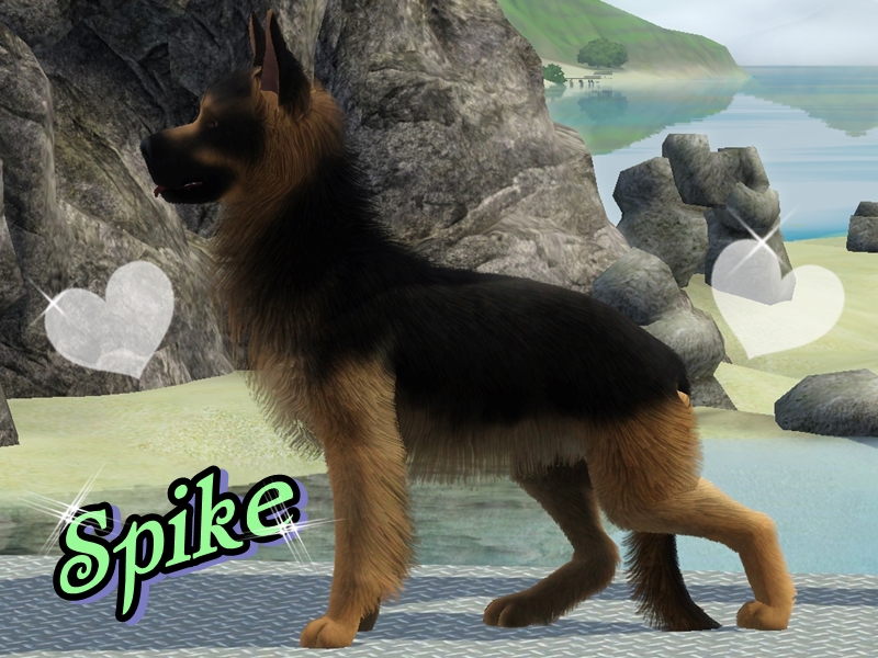 The Sims Resource | Spike - Long Hair German Shepherd