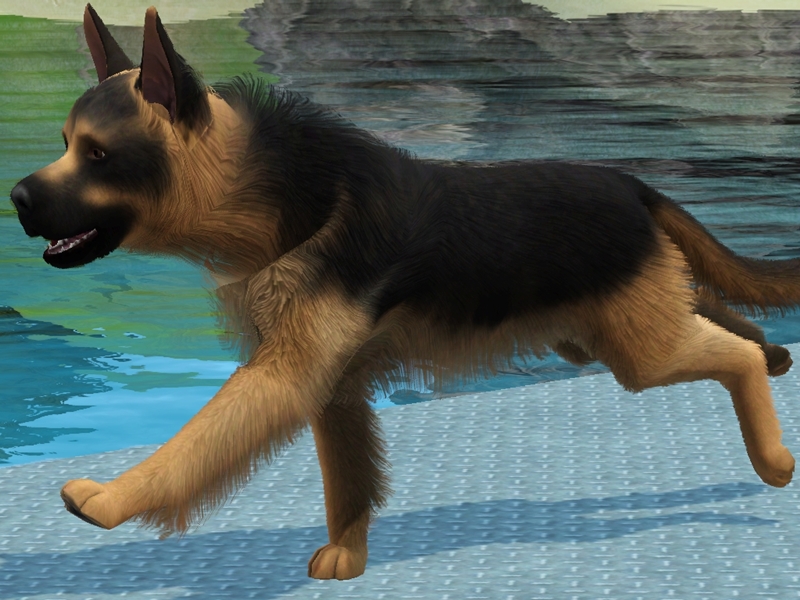 The Sims Resource | Spike - Long Hair German Shepherd