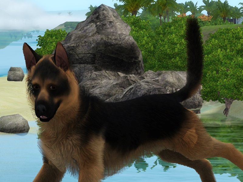 The Sims Resource | Spike - Long Hair German Shepherd