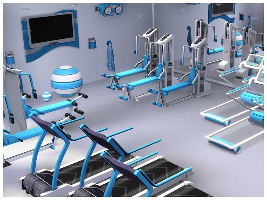 The Sims Resource - Spyrahl Gym