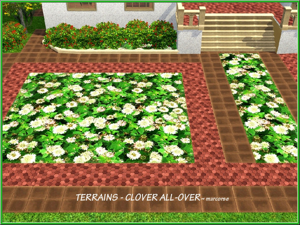 The Sims Resource | Clover Allover_marcorse
