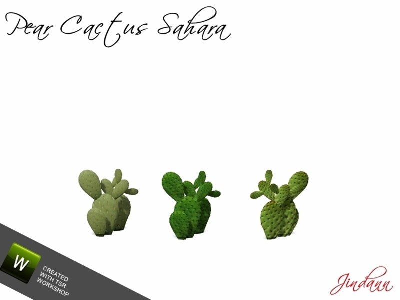 The Sims Resource | Pear Cactus Sahara