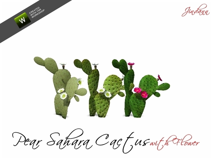 The Sims Resource | Pear Cactus Sahara with Flowers