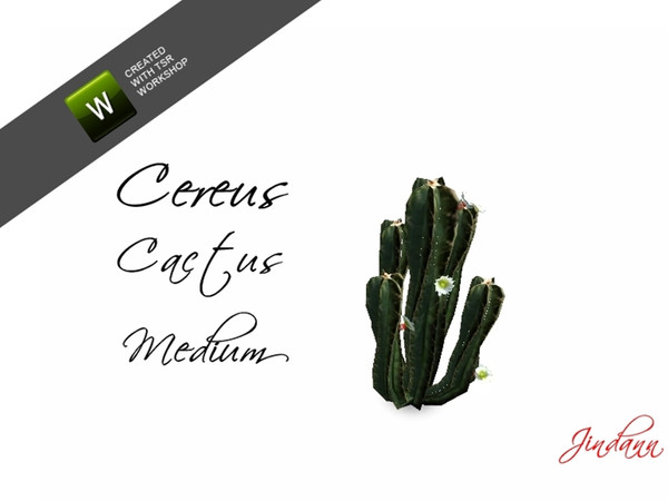 The Sims Resource | Cereus Cactus Medium
