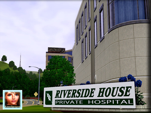 The Sims Resource | Hospital Sign.