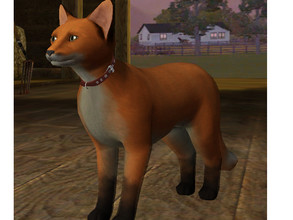 The Sims Resource - Pets