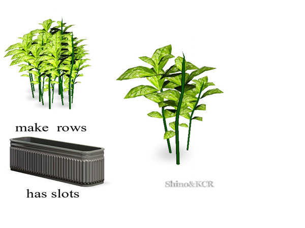 The Sims Resource | Green Oasis - Herbs Basil
