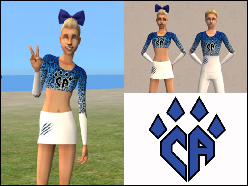 Cheer Athletics Cheetahs Bows