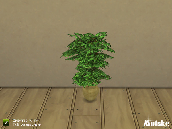 The Sims Resource - Window Wicklow Middle 2x1