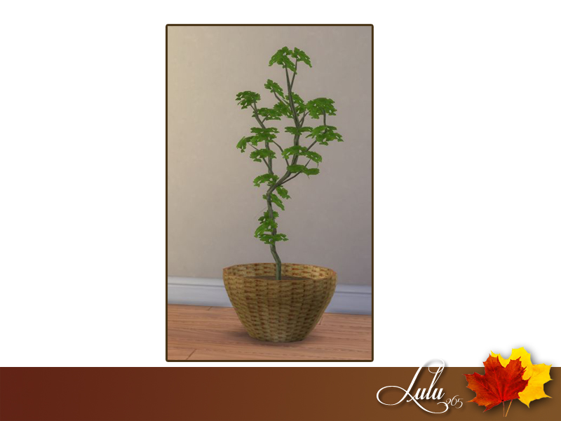 The Sims Resource | Autumn Living Potted Tree