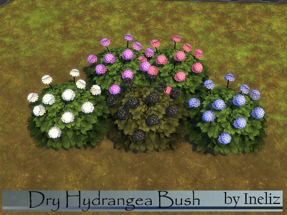 The Sims Resource | Dry Hydrangea Bush