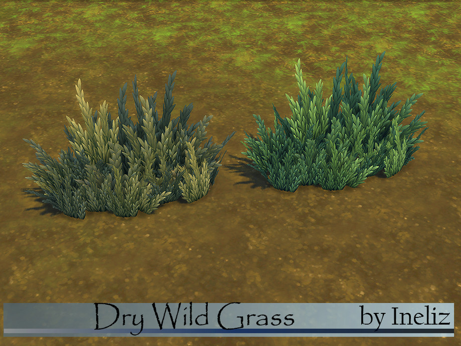 The Sims Resource | Dry Wild Grass