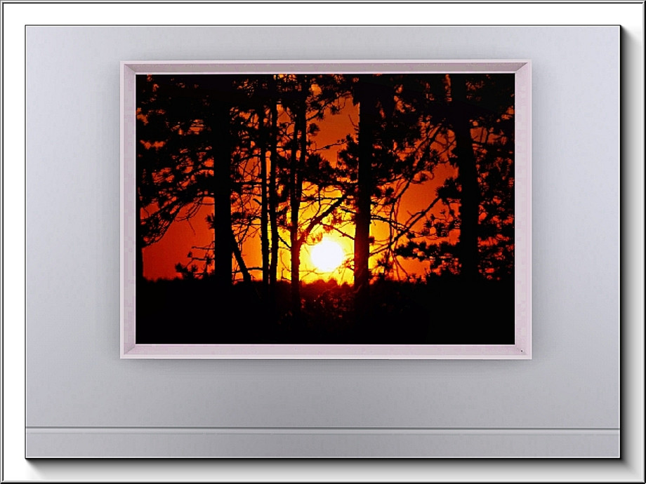 The Sims Resource | Red Sky_marcorse