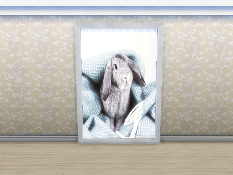 The Sims Resource | Lovely bunnies