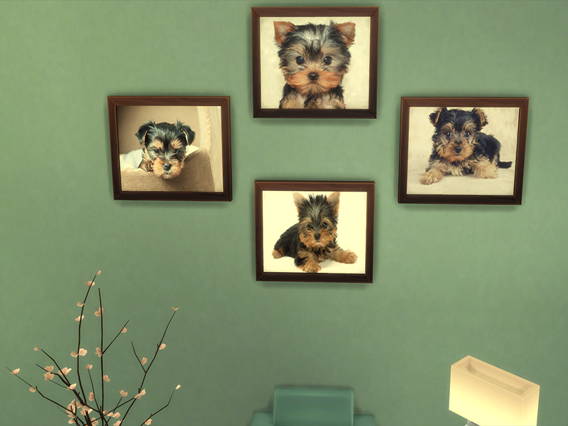 The Sims Resource | Yorkies Galore